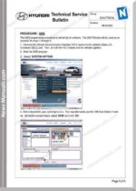Hyundai 2006-2007 Year Auto Door Lock Service Manual